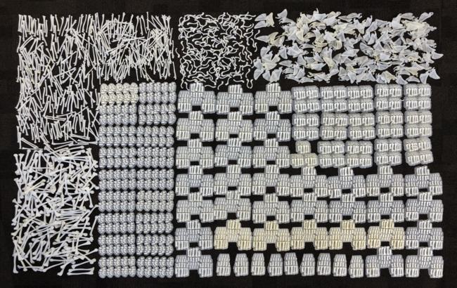 3D Printing in Education: Bone Models at Victoria University | Zortrax