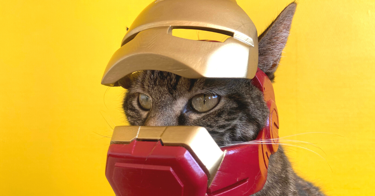 Custom-made Helmet for a Cat with Zortrax Desktop Printer - Zortrax